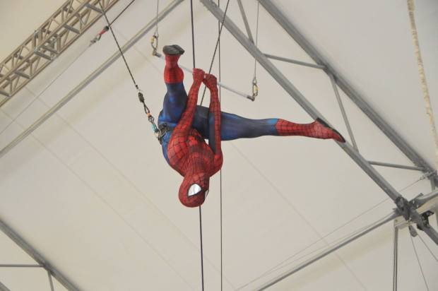 Cosplay Spotlight: Spidey Steve – Pop Culture Uncovered